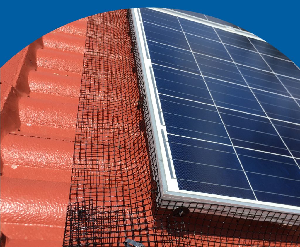Maximise Your Solar Savings: A Complete Maintenance Checklist for ...